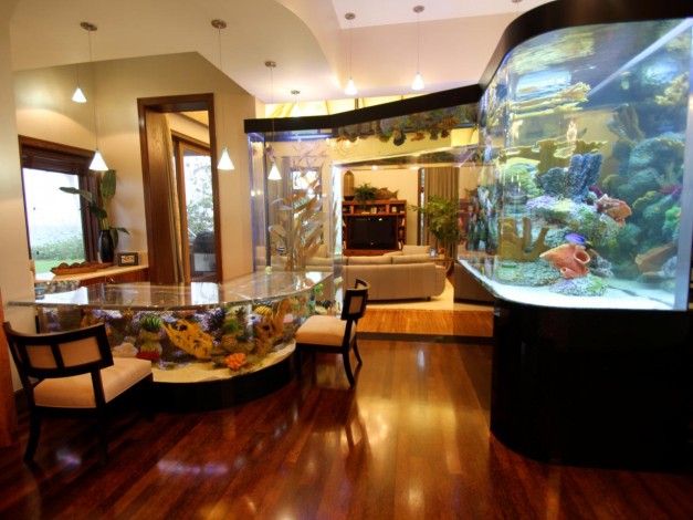 The 20 Most Lavish Home Aquariums in the World