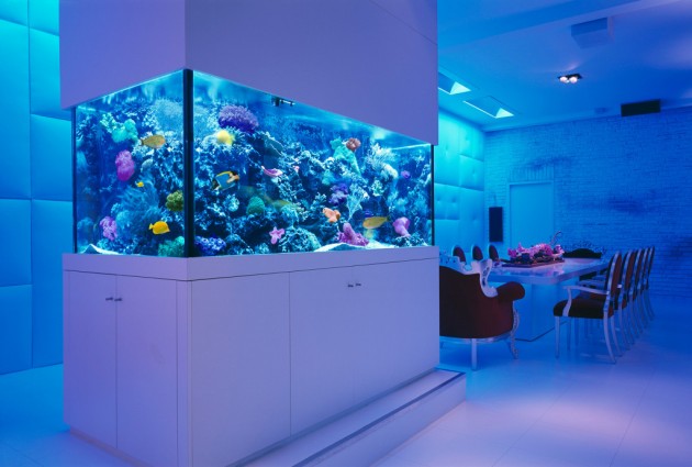 The 20 Most Lavish Home Aquariums in the World