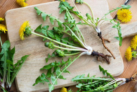 How To Identify The 15 Most Common Weeds - Worthly