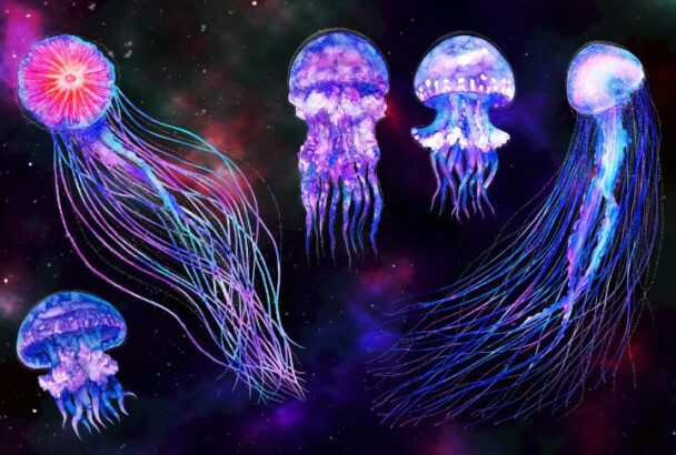 15 Newly Found Deep-Sea Creatures - Worthly