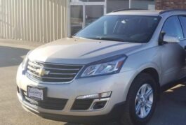 These 15 Cars Share Names With Birds - Worthly