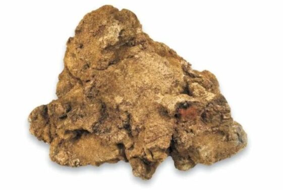 15 Largest Gold Nuggets Ever Found - Worthly