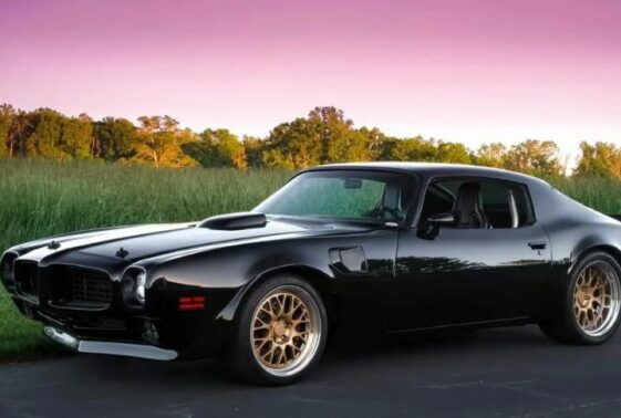 These 15 Cars Share Names With Birds - Worthly