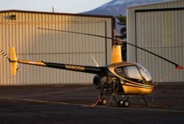 Top 15 Single-Engine Aircrafts in Aviation History - Worthly