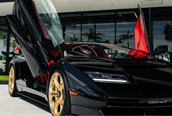 15 Strange Car Door Designs That Make a Statement - Worthly