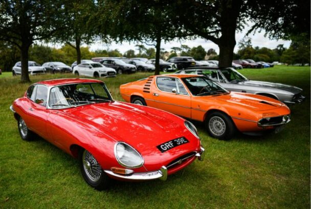 15 Cars That Share Names With Animals - Worthly