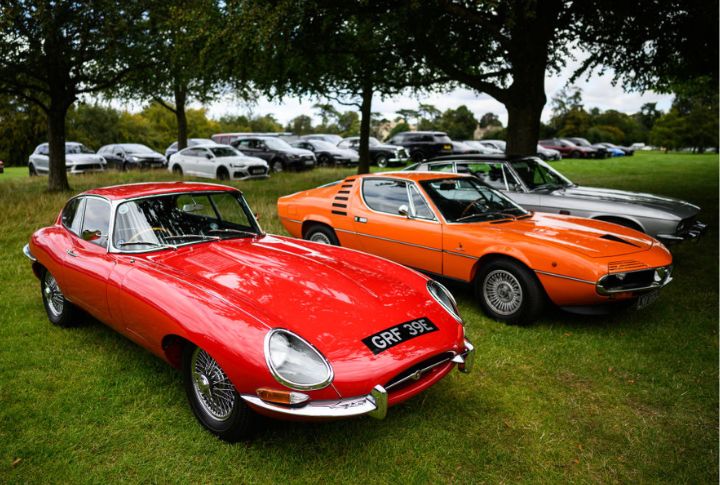 15 Cars That Share Names With Animals - Worthly