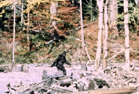 15 Indiana Cryptids and Their Haunting Tales - Worthly