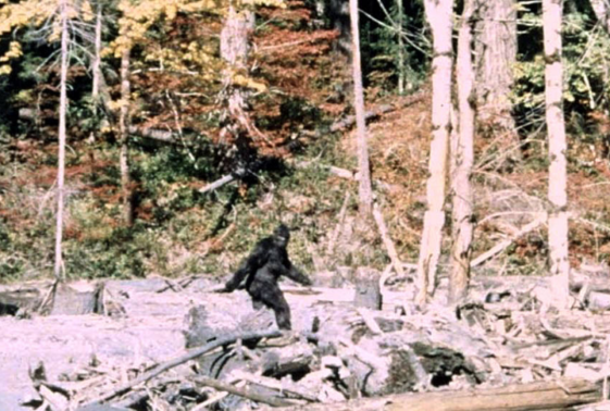 15 Indiana Cryptids and Their Haunting Tales - Worthly