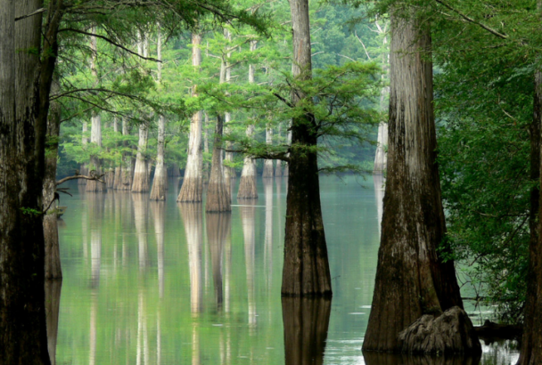 15 Indiana Cryptids and Their Haunting Tales - Worthly