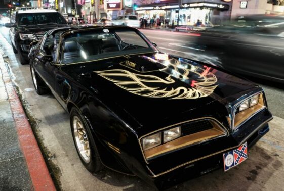 These 15 Cars Share Names With Birds - Worthly