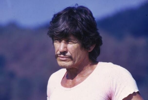 Top 15 Charles Bronson Films According to Rotten Tomatoes - Worthly