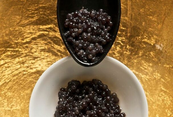 15 Most Expensive Foods in the World - Worthly
