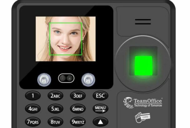 15 Lavish Security Systems for Wealth Protection - Worthly