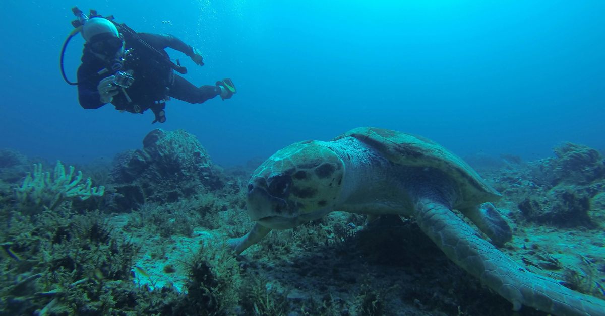 15 Bizarre Hobbies That Only The Rich Enjoy - Worthly