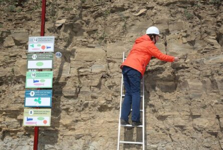 20 Outdoor Jobs That Pay Well and Keep You Out of the Office - Worthly