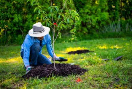 20 Outdoor Jobs That Pay Well and Keep You Out of the Office - Worthly