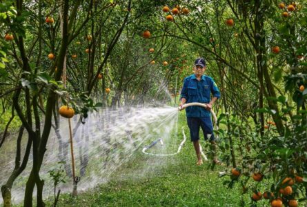 20 Outdoor Jobs That Pay Well and Keep You Out of the Office - Worthly