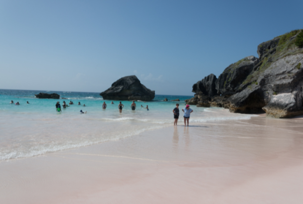 The Planet's Most Magical Pink Beaches - Worthly