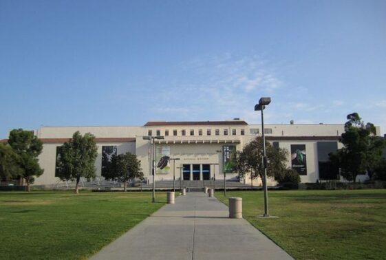 10 Reasons Why Kyawthuite Is The Most Special Gemstone In The World ...