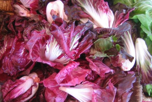 10 High-Priced Vegetables Only The Rich Can Afford - Worthly