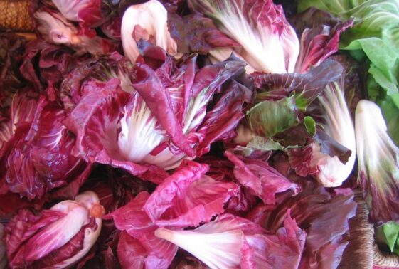10 High-Priced Vegetables Only The Rich Can Afford - Worthly