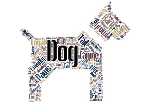 10 Smart Wordle Tricks To Boost Your Winning Streak - Worthly