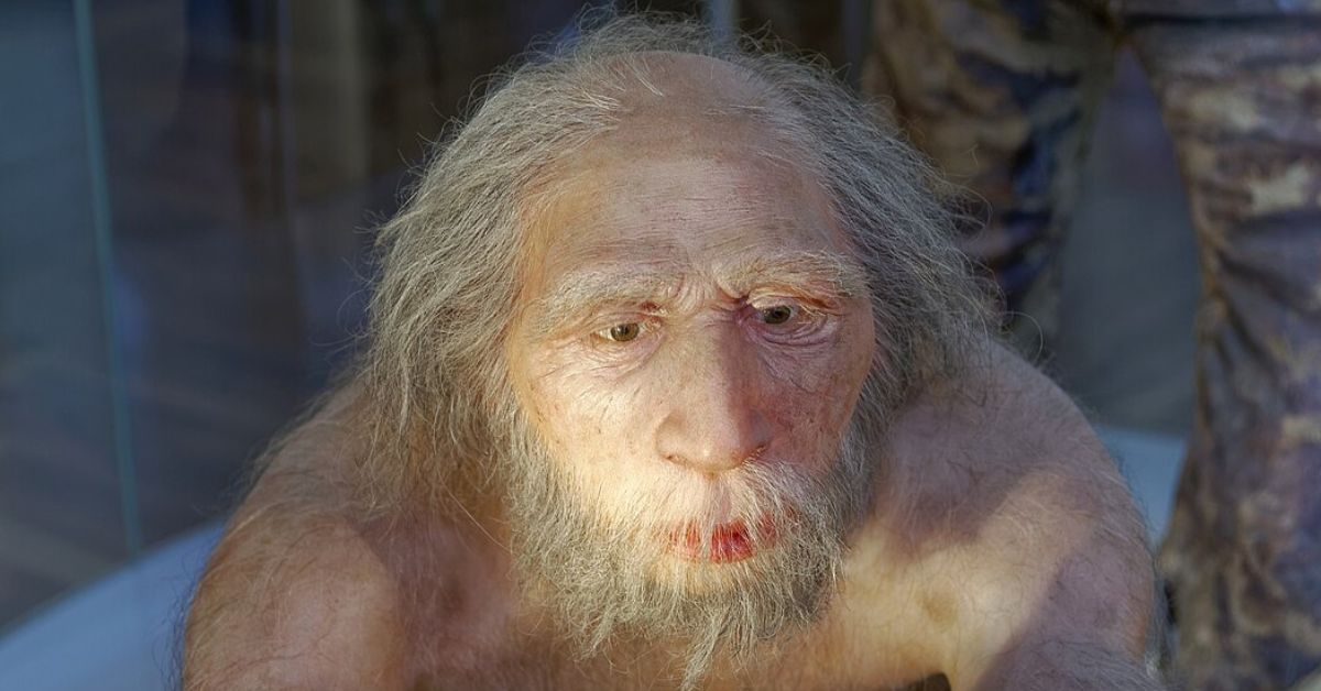 10 Ancient Human Species That Shaped Our Origins - Worthly