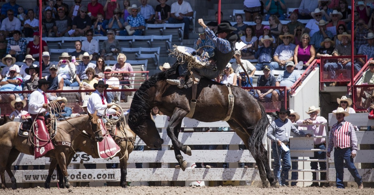 20 Attractions In Cheyenne, Wyoming That Prove The Wild West Doesn’t ...