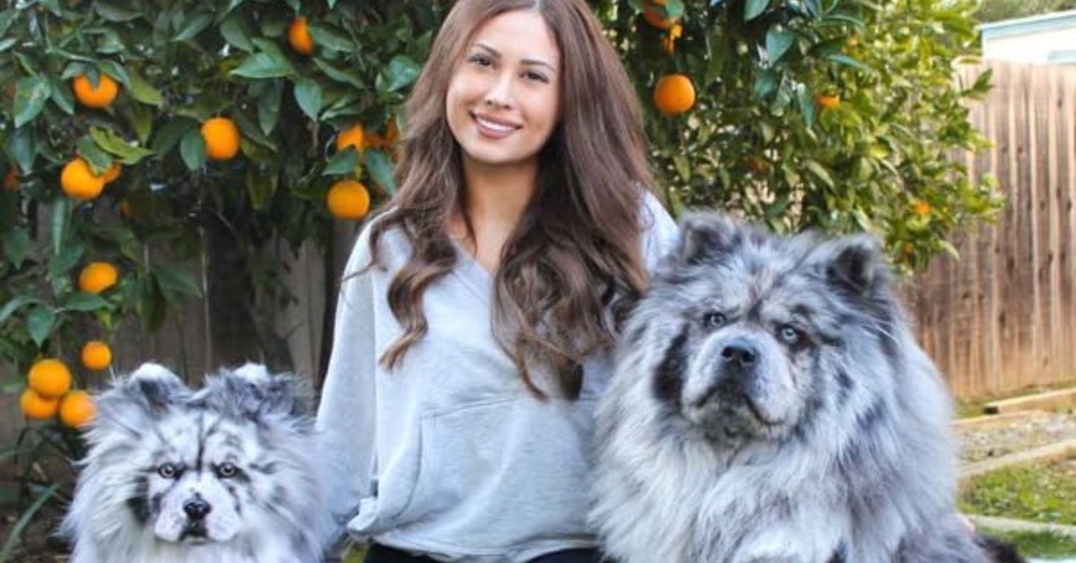 Only The Richest People On Earth Can Afford These 10 Hidden Luxuries ...