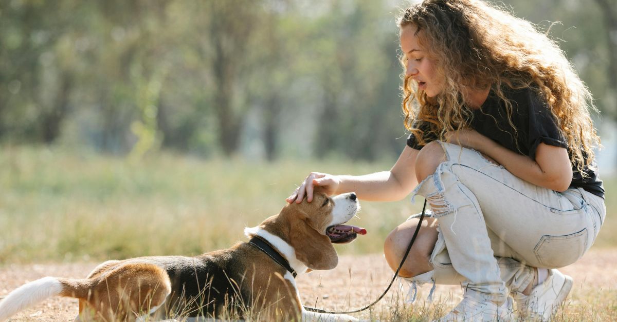 20 Dogs That Require Extra Patience in Training - Worthly