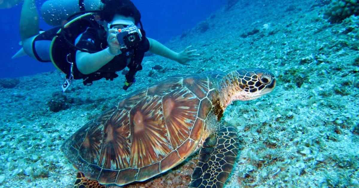 15 Must-See Underwater Attractions in America - Worthly