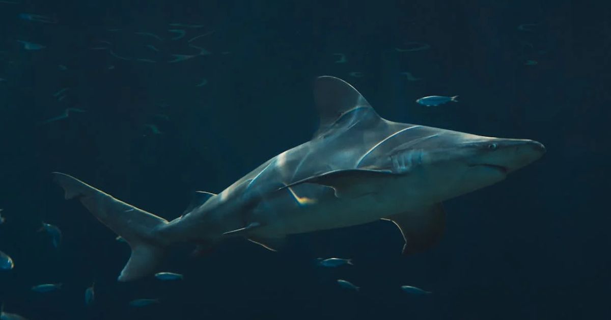10 Mississippi River Creatures You Must Stay Away From - Worthly
