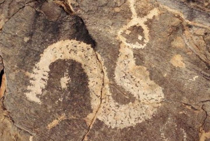 10 Legendary Animals Of Native American Myths - Worthly