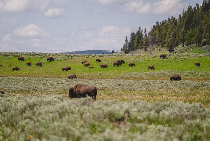 Wyoming's Best-Kept Secret: Bear River State Park - Worthly