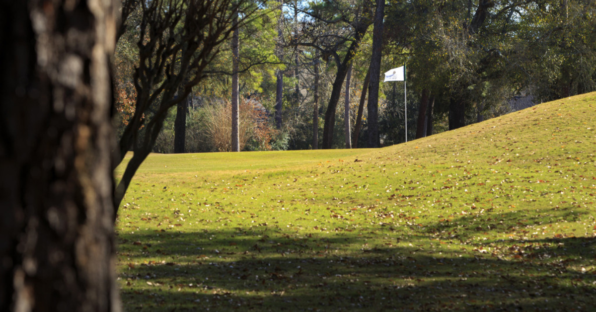 10 Mini-Golf Courses in Texas for Fun-Filled Adventures - Worthly